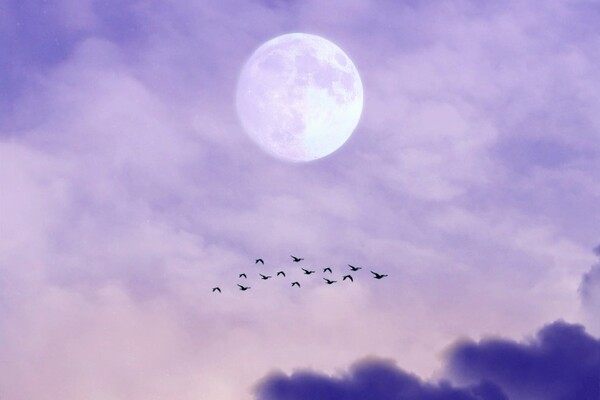 Місячний календар на листопад 2022 фази Місяця сприятливі та несприятливі дні